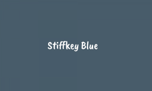 Stiffkey Blue Guide - DIY Boss